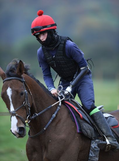 Jockey Harry Enright 17yrs Who Rides Editorial Stock Photo - Stock ...