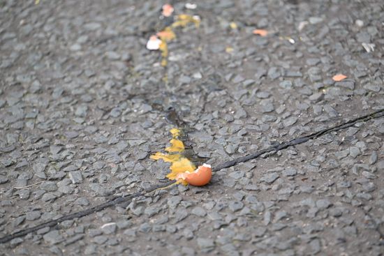 Protester Patrick Thelwell Detained After Throwing Editorial Stock ...
