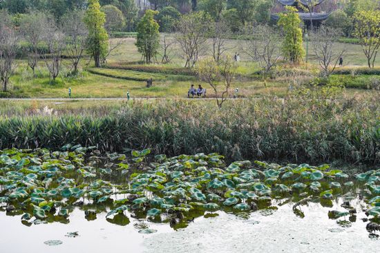 People Visit Shuanggui Lake National Wetland Editorial Stock Photo ...