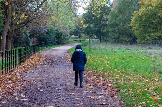 Cooler Day Today Langley Park Country Editorial Stock Photo - Stock ...
