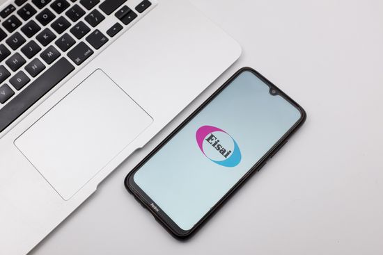 This Photo Illustration Eisai Logo Seen Editorial Stock Photo - Stock ...