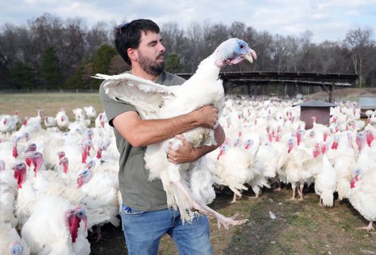 Logan Solomon Production Manager Buttonwood Farms Editorial Stock Photo ...