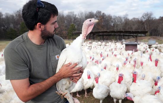 Logan Solomon Production Manager Buttonwood Farms Editorial Stock Photo ...