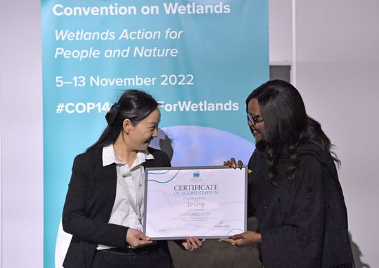 Musonda Mumba R Secretarygeneral Ramsar Convention Editorial Stock ...