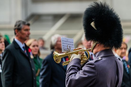 Bugler Grenadier Guards Plays Sunset Vice Editorial Stock Photo - Stock ...