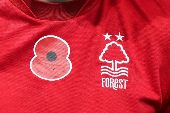 Poppy Design Nottingham Forest Badge Editorial Stock Photo - Stock ...