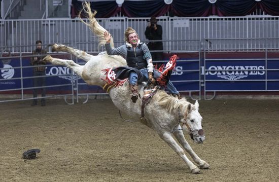 Cowboy Chase Park Competes During Bareback Editorial Stock Photo ...