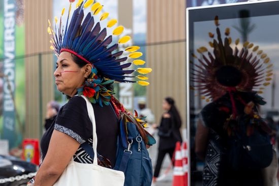 American Indigenous Woman Stand Delegations Pavilions Editorial Stock ...
