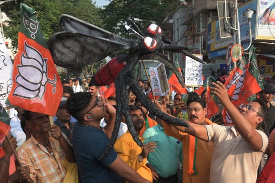 Bharatiya Janata Yuva Morcha Bjym Members Editorial Stock Photo - Stock ...