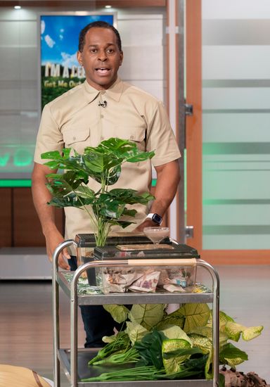 Andi Peters Editorial Stock Photo - Stock Image | Shutterstock