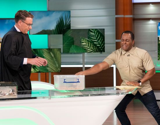 Richard Arnold Andi Peters Editorial Stock Photo - Stock Image ...