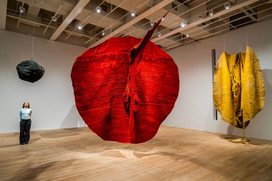 Petrified Organism Room Displaying Total Situation Editorial Stock ...