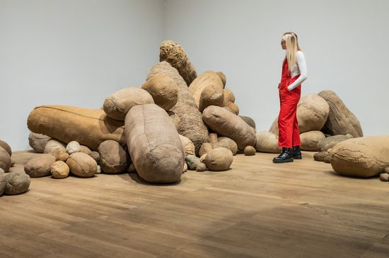Embryology Part Petrified Organism Room Displaying Editorial Stock ...