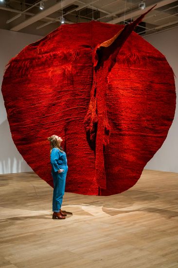 Abakan Red Centrepiece Petrified Organism Room Editorial Stock Photo ...