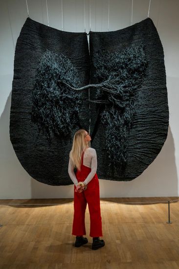 Abakan Styczenluty Part Petrified Organism Room Editorial Stock Photo ...