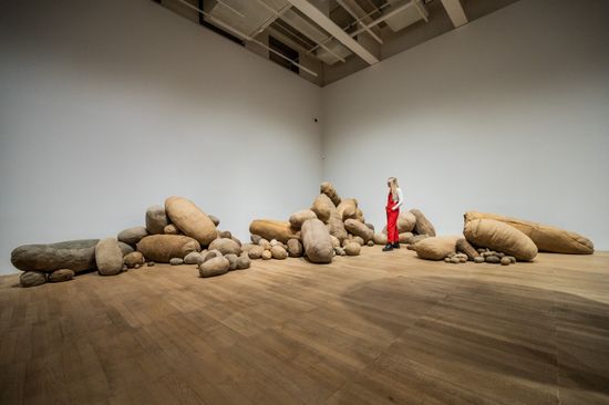Embryology Part Petrified Organism Room Displaying Editorial Stock ...