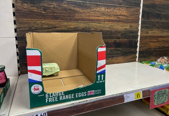 Empty Shelf Free Range Eggs Iceland Editorial Stock Photo - Stock Image ...