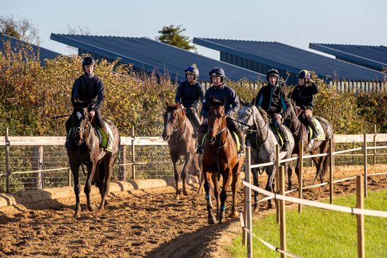 Pictured Trainer Barry Connells String Horses Editorial Stock Photo ...
