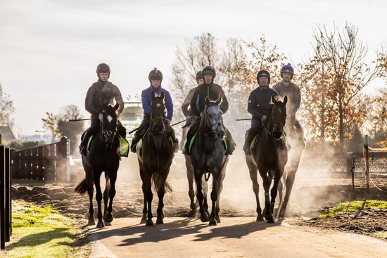 Pictured Trainer Barry Connells String Horses Editorial Stock Photo ...