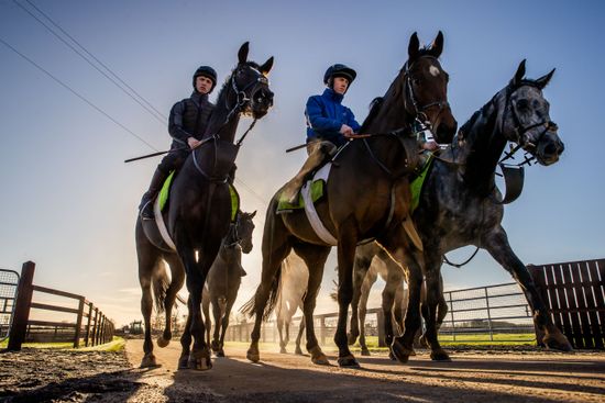Pictured Trainer Barry Connells String Horses Editorial Stock Photo ...
