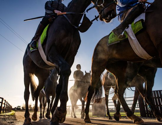Pictured Trainer Barry Connells String Horses Editorial Stock Photo ...