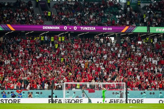 Tunisia Fans Celebrate After Var Confirm Editorial Stock Photo - Stock ...