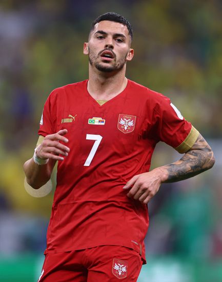 Nemanja Radonjic Serbia Editorial Stock Photo - Stock Image | Shutterstock