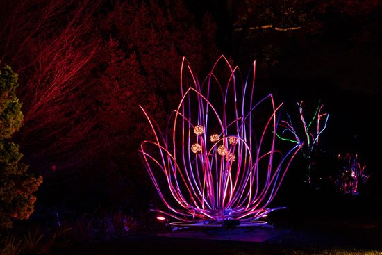 Bloom Installation By Tilt Part Lightscape Editorial Stock Photo ...