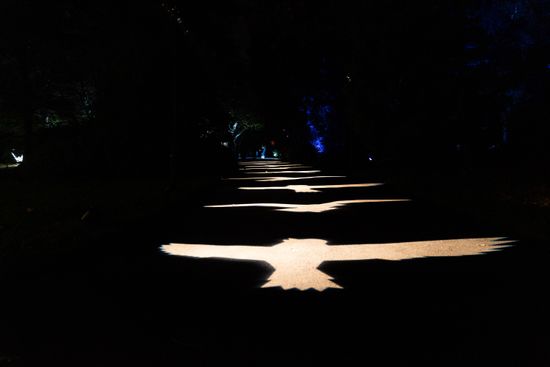 Ghosts Installation By Studio Vertigo Part Editorial Stock Photo ...