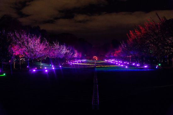 Neon Waves Installation By Christopher Wren Editorial Stock Photo ...
