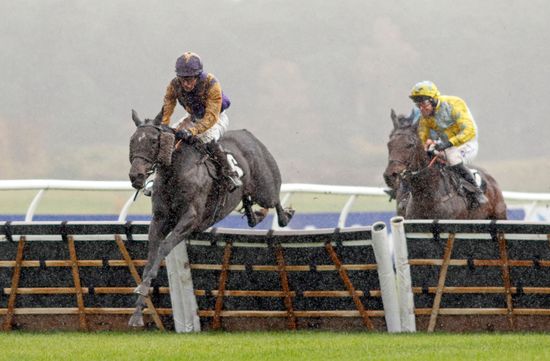 Lady Babs Conor Rabbitt Wins Pertemps Editorial Stock Photo - Stock ...