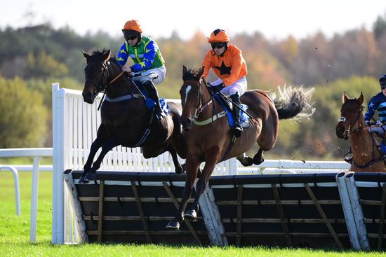 Race Winner Romancero Le Dun Ridden Editorial Stock Photo - Stock Image ...