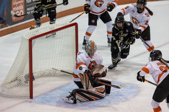 Rit Tigers Goaltender Sarah Coe 30 Editorial Stock Photo - Stock Image ...