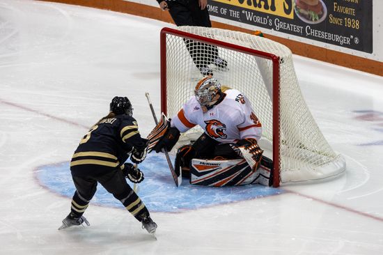 Rit Tigers Goaltender Sarah Coe 30 Editorial Stock Photo - Stock Image ...