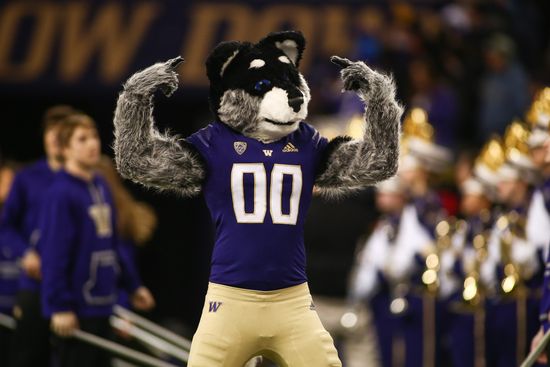 Harry Husky Leads Washington Huskies Team Editorial Stock Photo - Stock ...