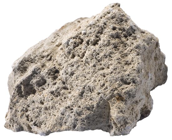 Pumice Yellowstone Wyoming Usa Editorial Stock Photo - Stock Image ...