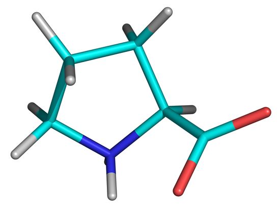 Proline One Primary Building Blocks Collagen Editorial Stock Photo ...