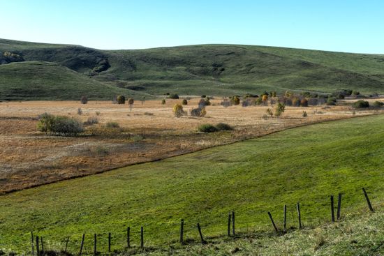 Bog Landscape Dry Bog Grass Cezallier Editorial Stock Photo - Stock ...