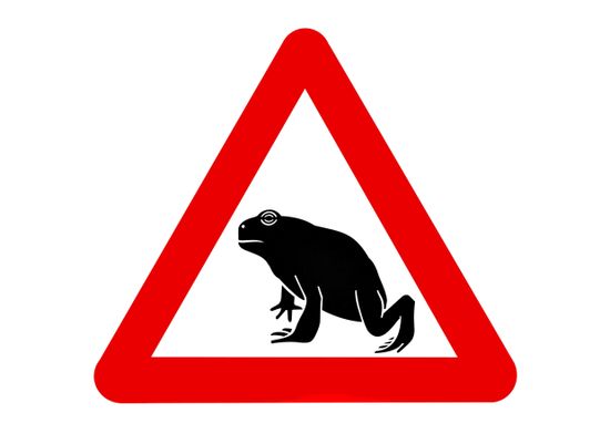 Warning Sign Migrating Amphibians Toads Crossing Editorial Stock Photo ...