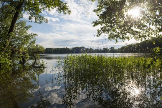 Schaalsee Near Seedorf Unesco Biosphere Reserve Editorial Stock Photo ...