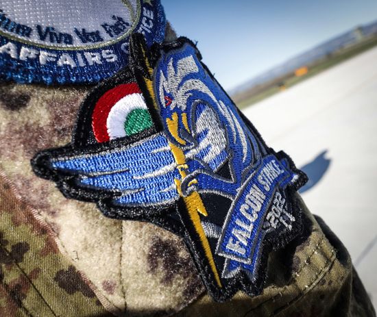 Close Exercise Patch During Exercise Falcon Editorial Stock Photo ...