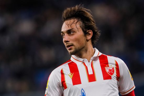 Lazar Nikolic Crvena Zvezda Looks On Editorial Stock Photo - Stock ...