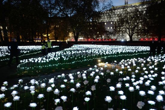 White Roses Illuminate Grosvenor Square Editorial Stock Photo - Stock ...