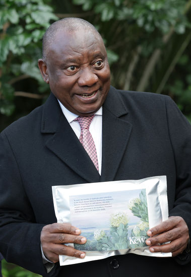 President South Africa Cyril Ramaphosa Smiles Editorial Stock Photo ...