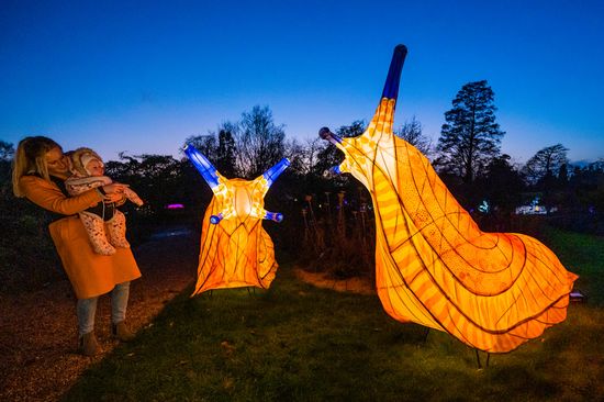 Illuminated Slugs Bees Other Insects Along Editorial Stock Photo ...