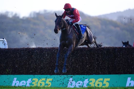 Tip Top Cat Ridden By Liam Editorial Stock Photo - Stock Image ...