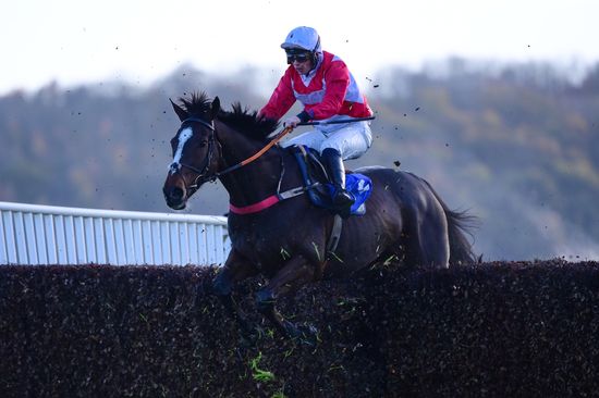 Enemenemynemo Ridden By Max Kendrick Race Editorial Stock Photo - Stock ...