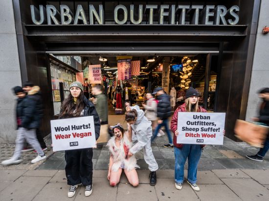 Peta Supporter Dressed Bloodied Bruised Sheep Editorial Stock Photo ...