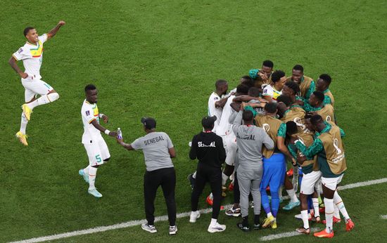 Players Sengal Celebrate After Scoring 20 Editorial Stock Photo - Stock ...