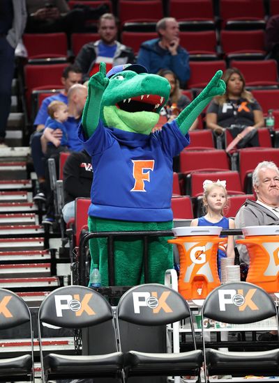 Florida Gator Celebrates Huge Lead Gators Editorial Stock Photo - Stock ...